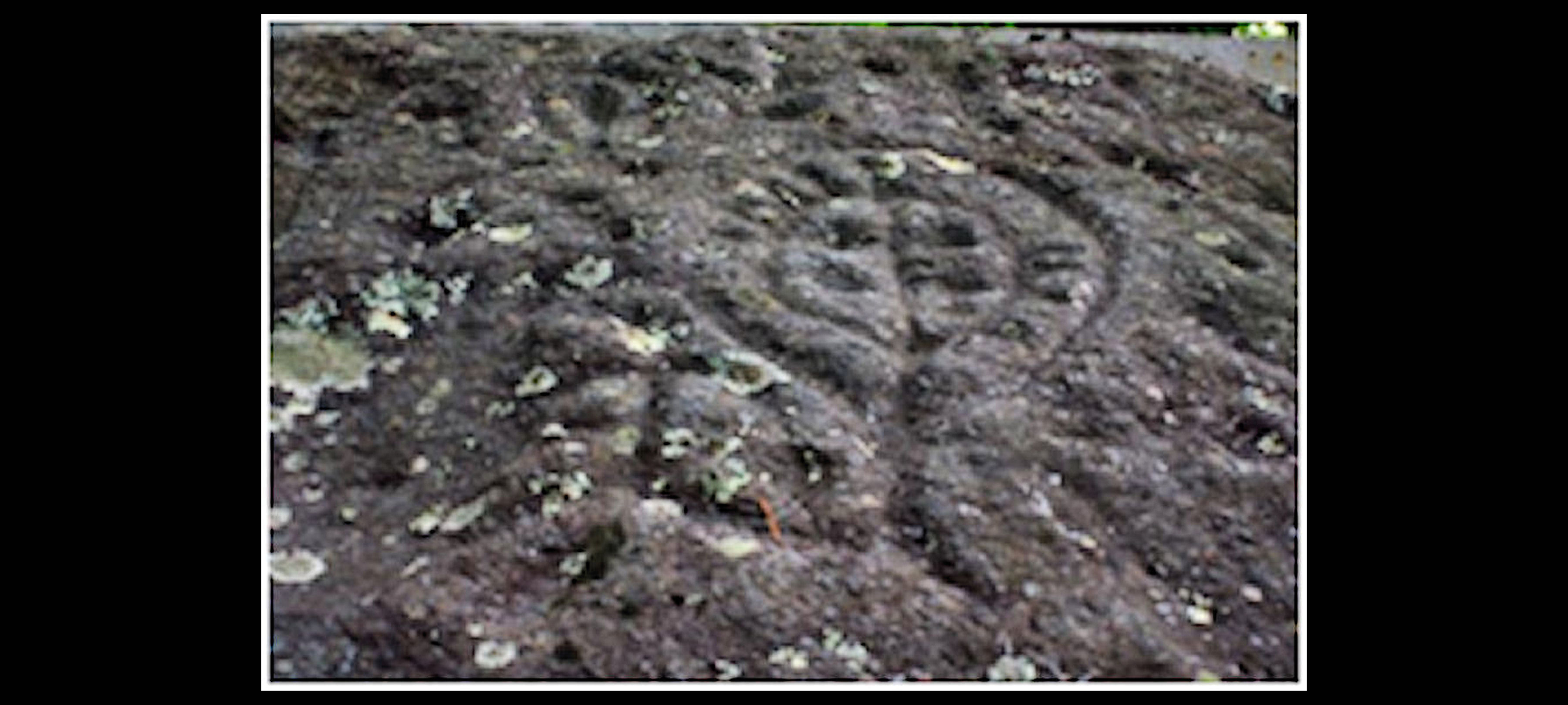 Secrets of the Track Rock Petroglyphs – The Americas Revealed