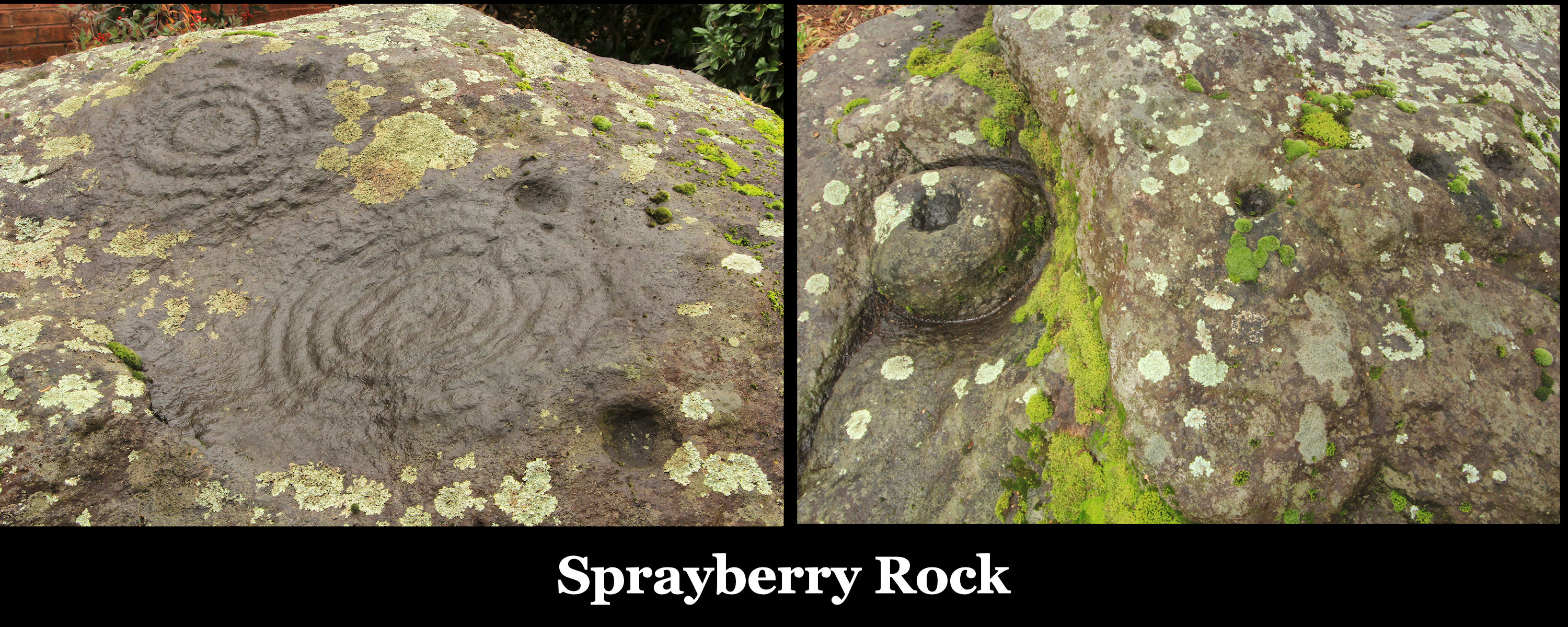 Petroglyphs: The Sprayberry Rock – The Americas Revealed