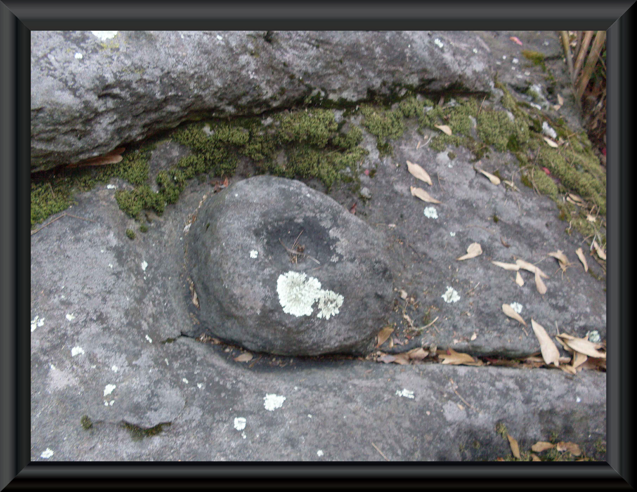Petroglyphs: The Sprayberry Rock – The Americas Revealed