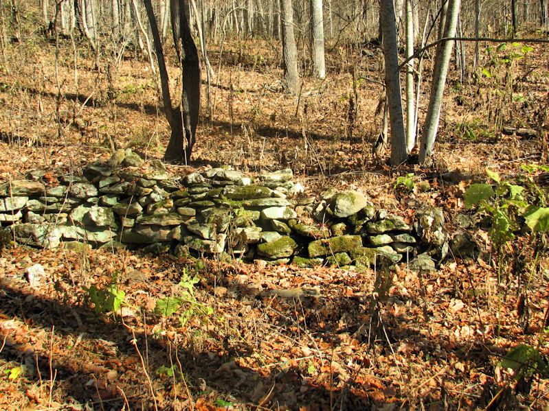 The “Dumbing-Down” of Indigenous Architecture in eastern North America ...