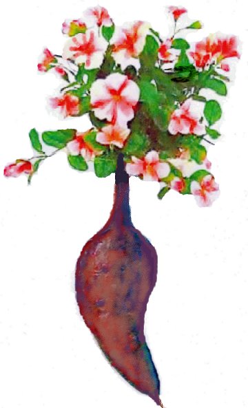 Yes, the indigenous peoples of the Southeastern USA did grow a variety ...