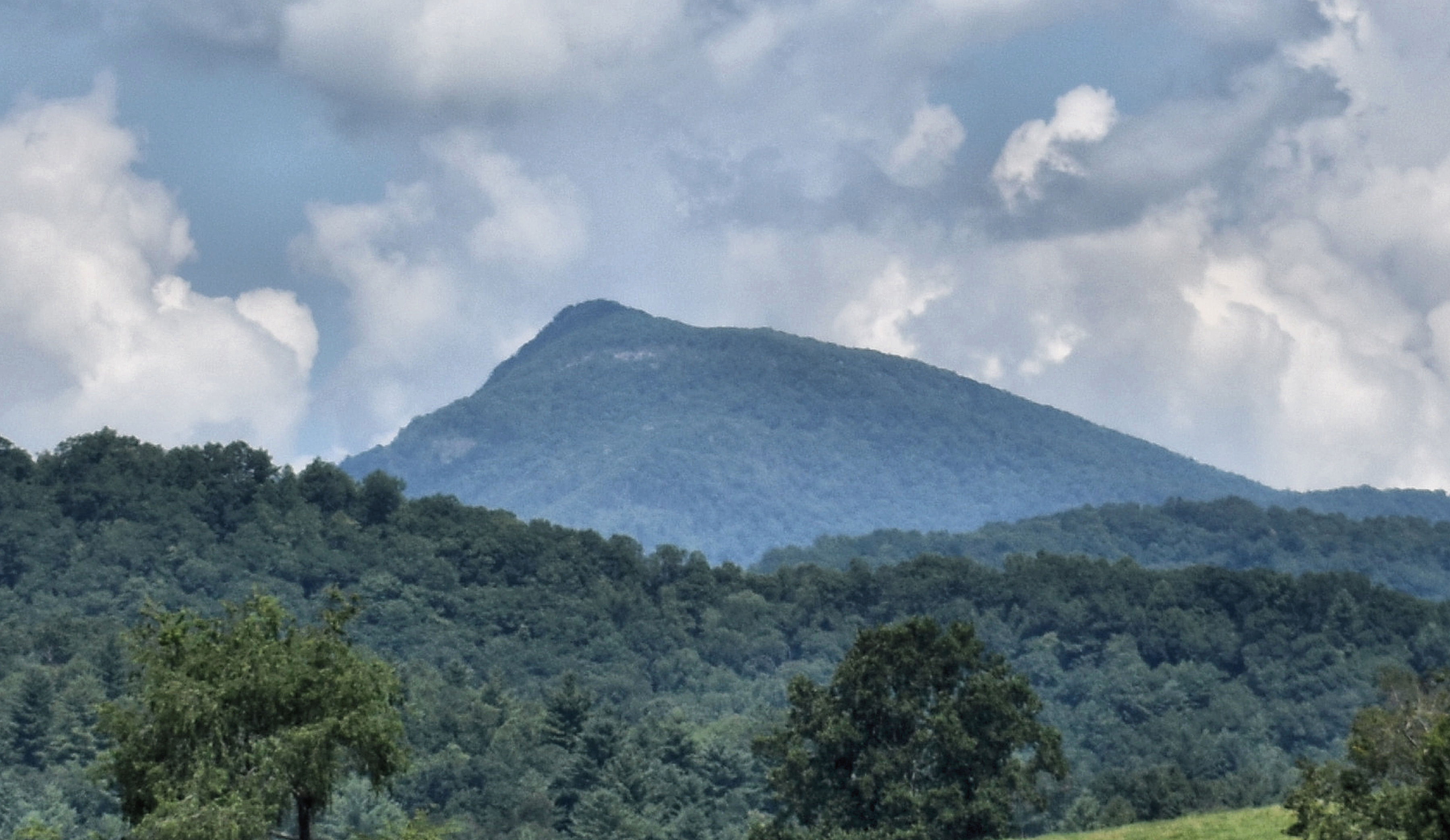 Amy’s Creek Archaeological Zone – The Americas Revealed
