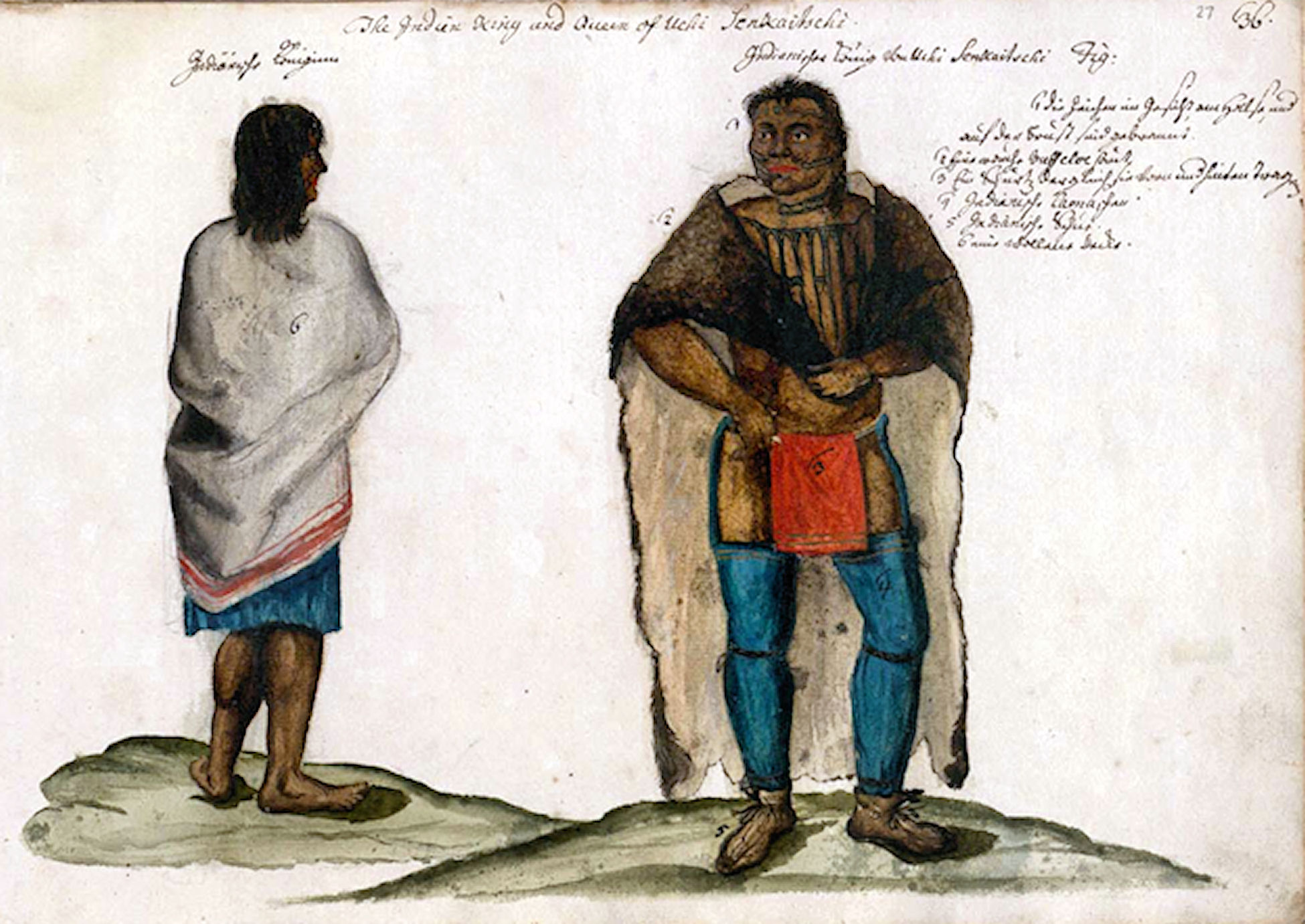 Pineapples and cacao were formerly grown by Native Americans in the ...