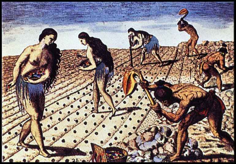 Native American Heritage Month . . . Final Exam – The Americas Revealed