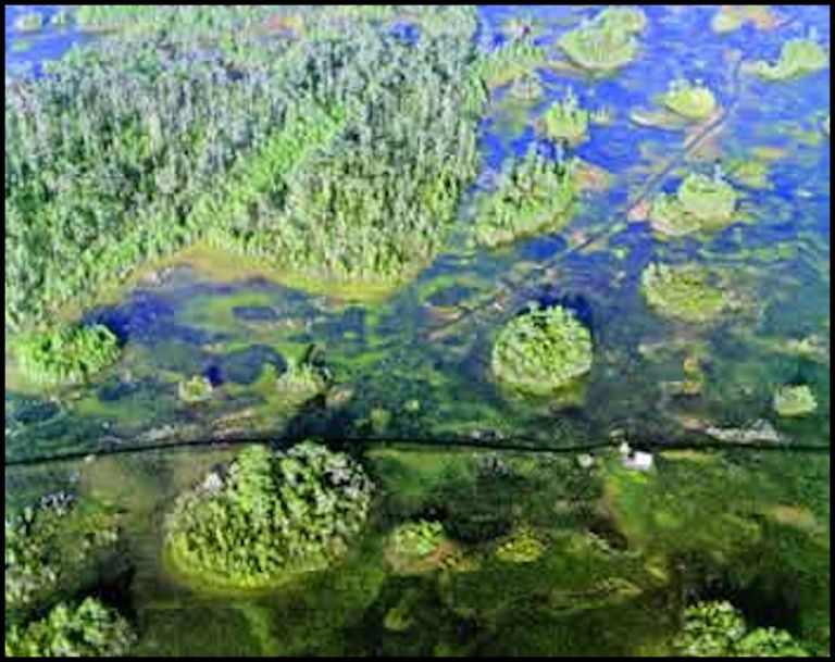 The Secret History of the Okefenokee Swamp – The Americas Revealed