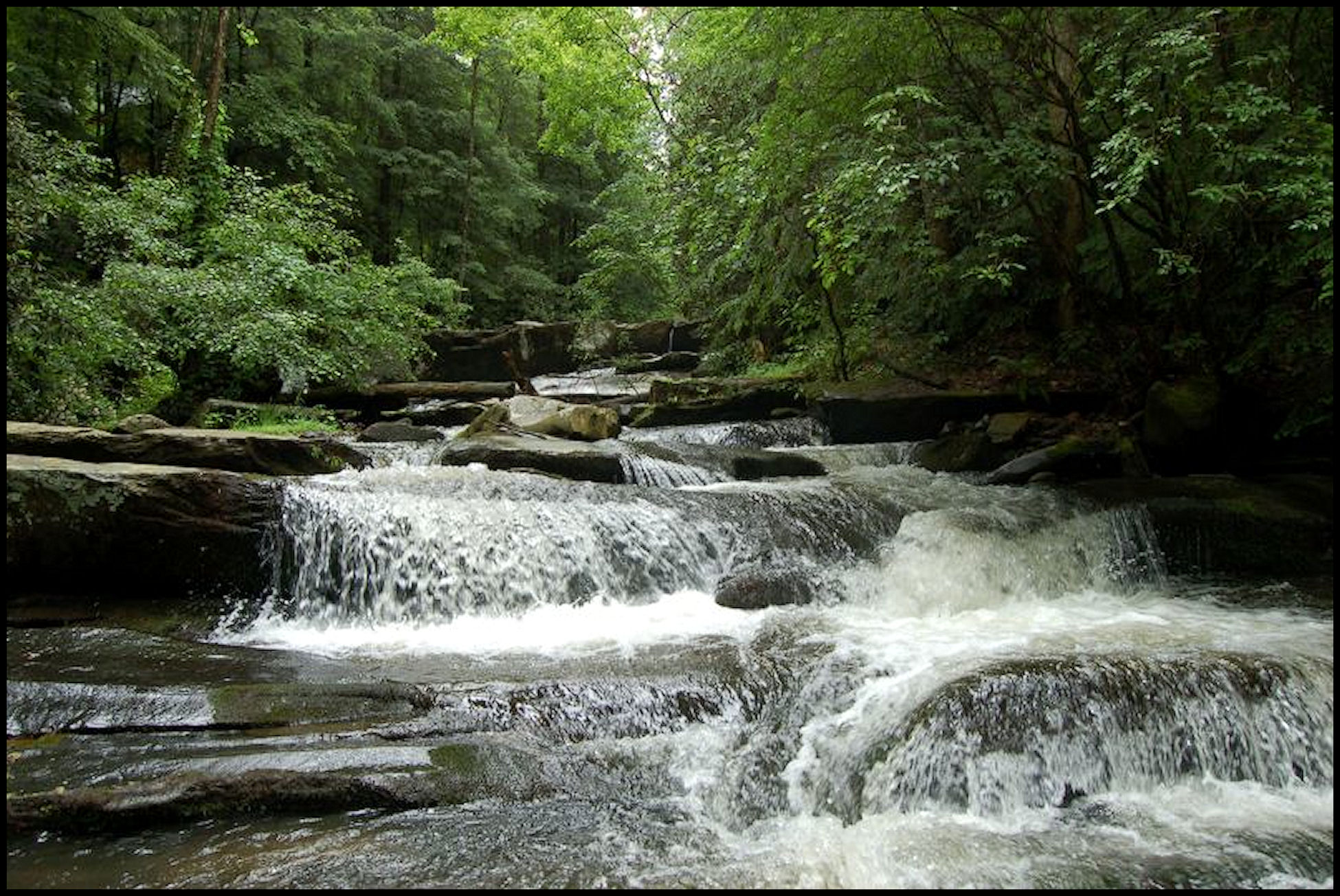 The Secret History of Ellijay and the “Great” Cherokee Chief White Path ...