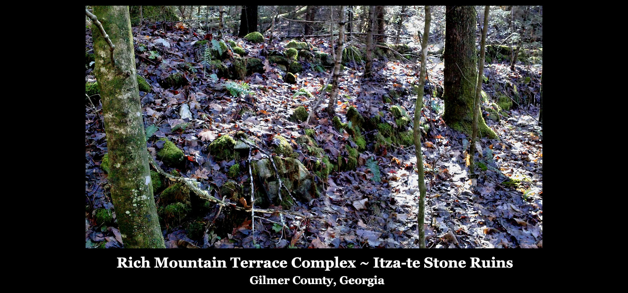 The Secret History of Ellijay and the “Great” Cherokee Chief White Path ...