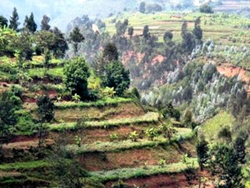 The Terrace Complexes of the Chiapas Highlands – The Americas Revealed