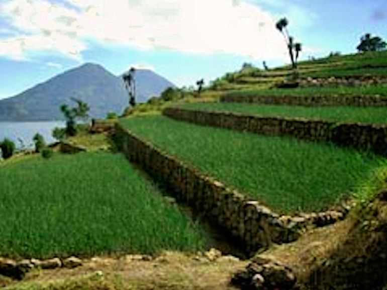 The Terrace Complexes of the Chiapas Highlands – The Americas Revealed