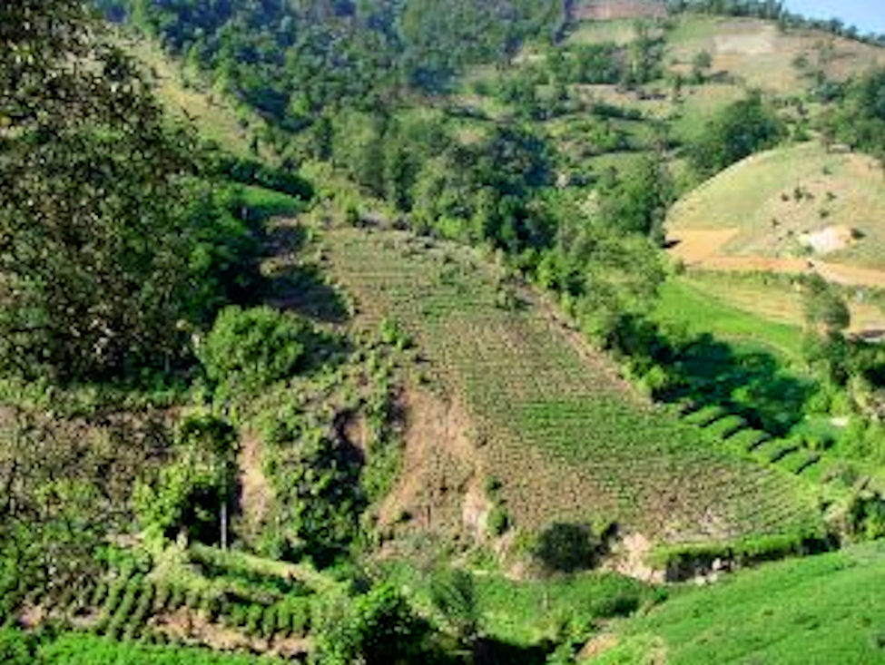 The Terrace Complexes of the Chiapas Highlands – The Americas Revealed