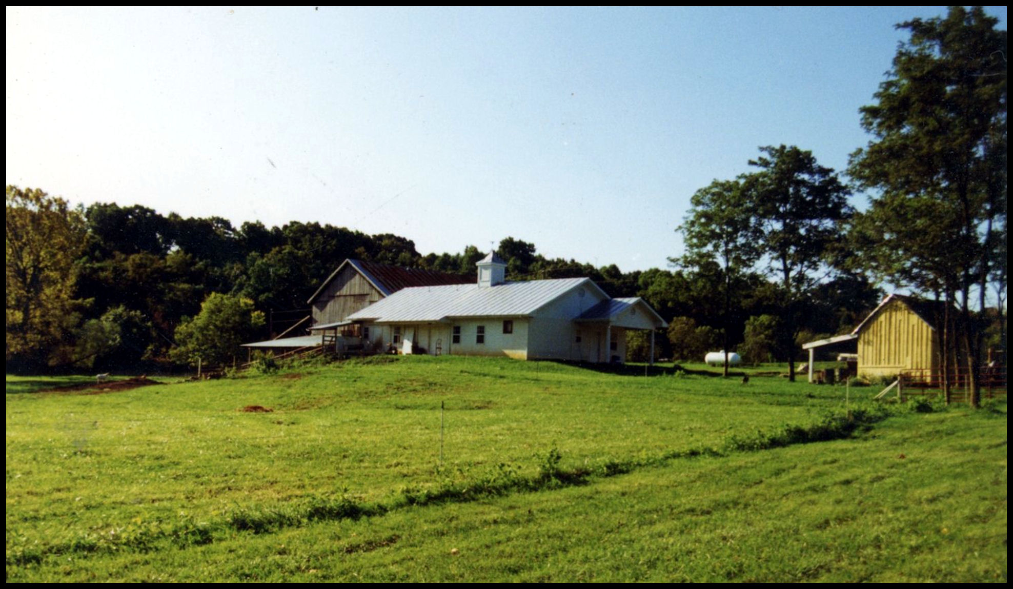 The first Instant Messenger romance – The Americas Revealed