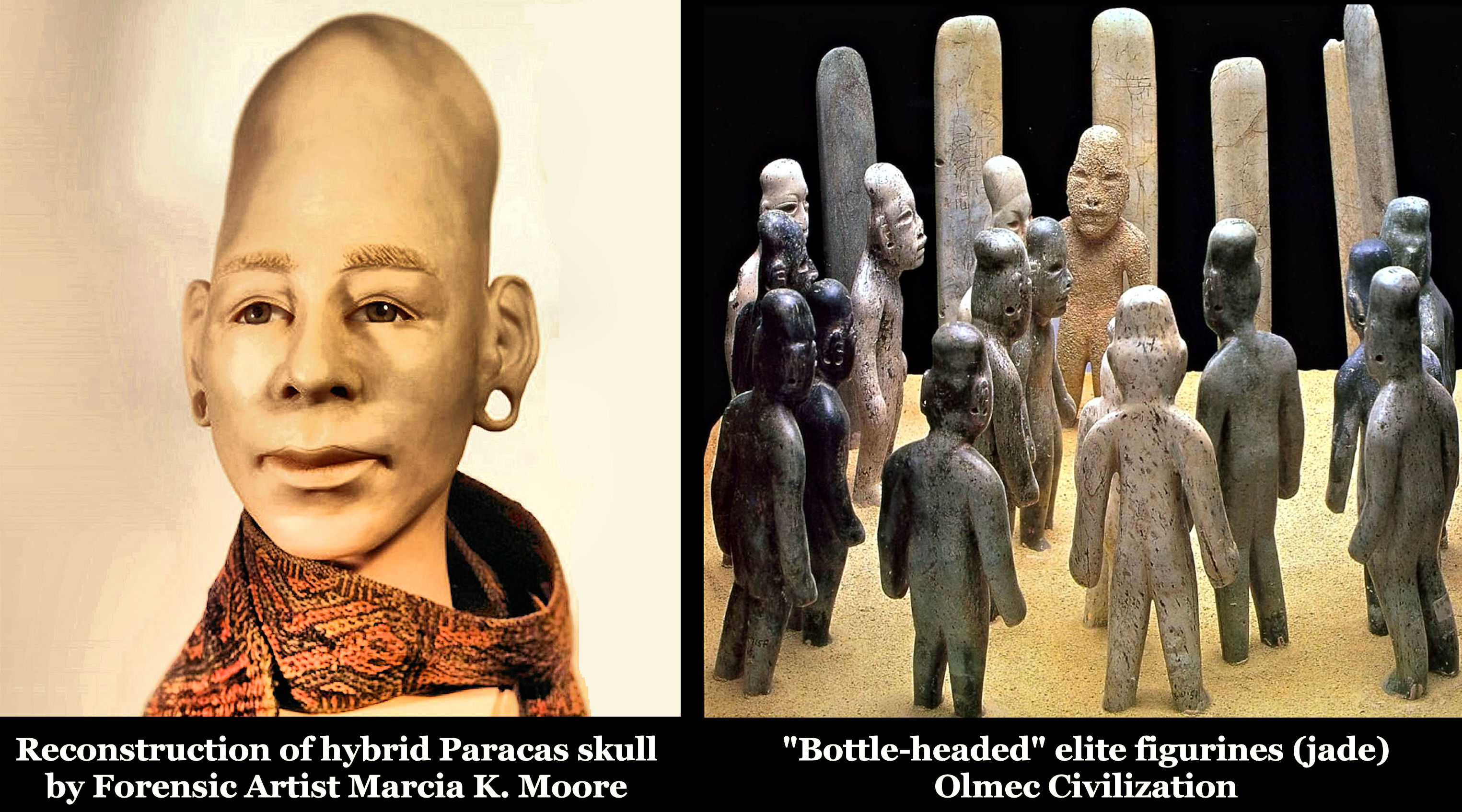 The Marquis de Lafayette was a Hybrid Conehead! – The Americas Revealed