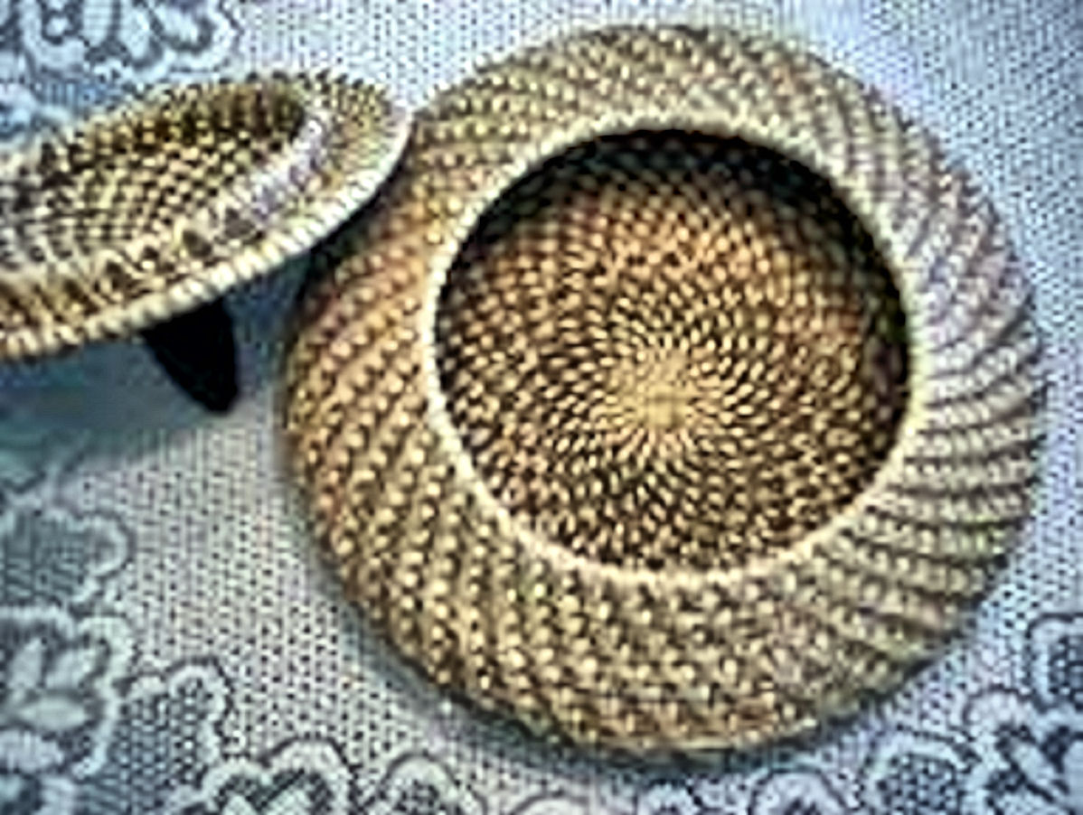 Creek Indian Longleaf Pine Needle Baskets – The Americas Revealed