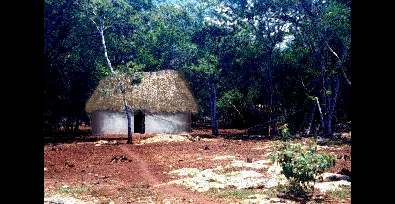 Maya Homes Ks2