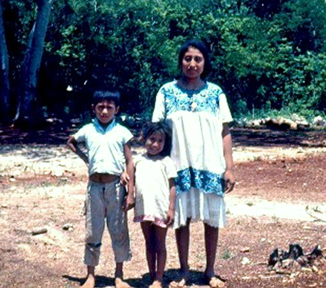 Two Maya Pigs In Love – The Americas Revealed