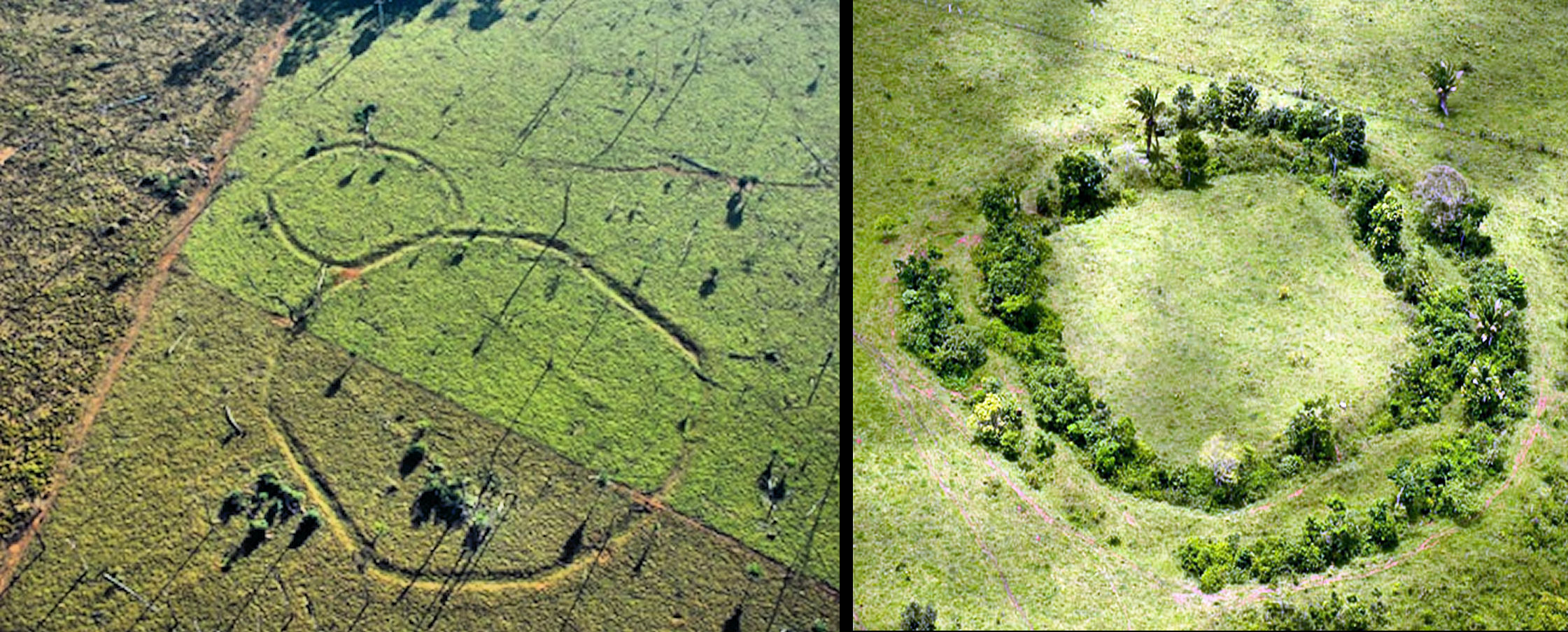 South Americans founded the Hopewell Culture in the Florida Panhandle ...