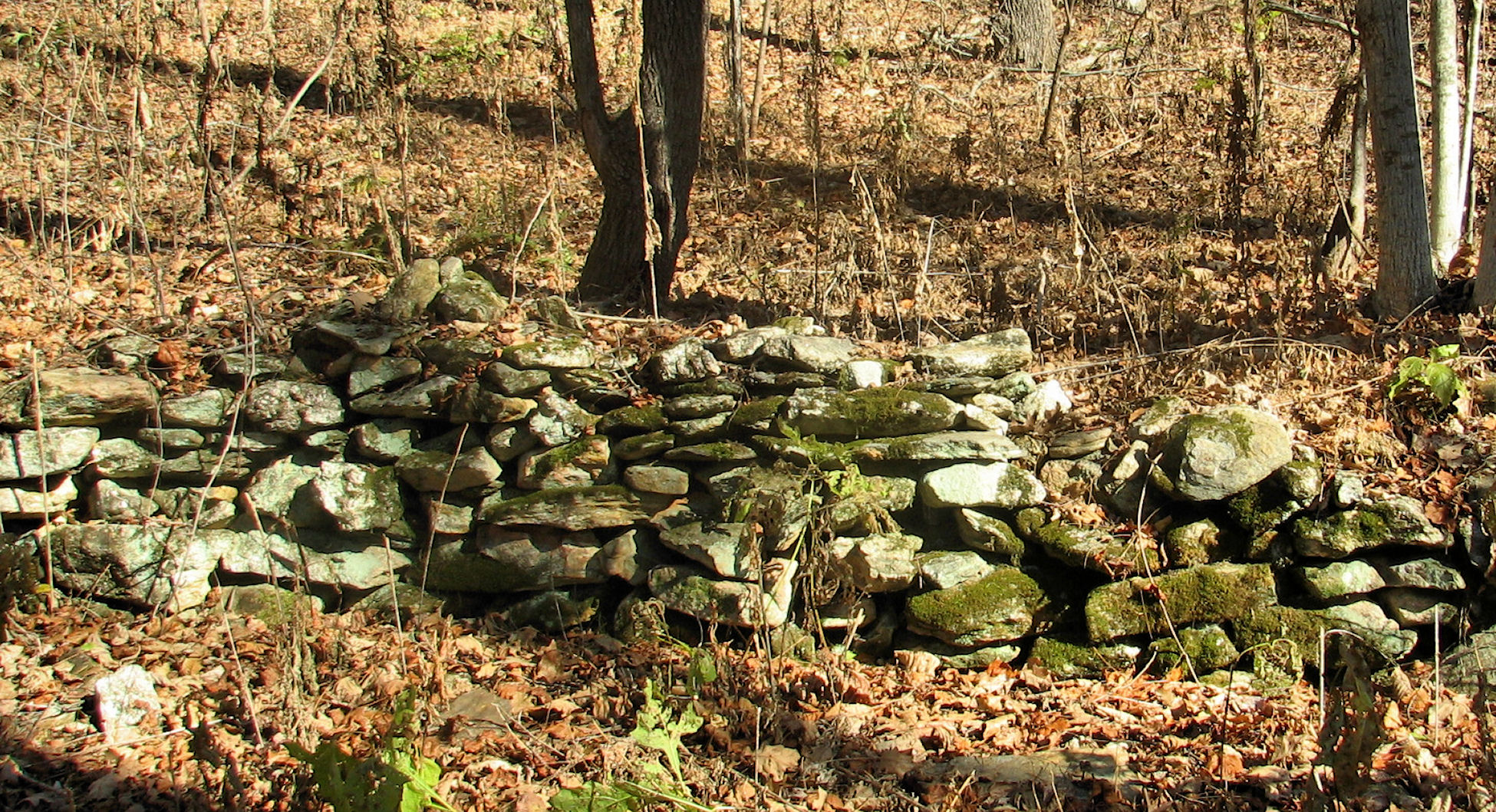 The Track Rock Gap Terrace Complex . . . Ten years later – The Americas ...