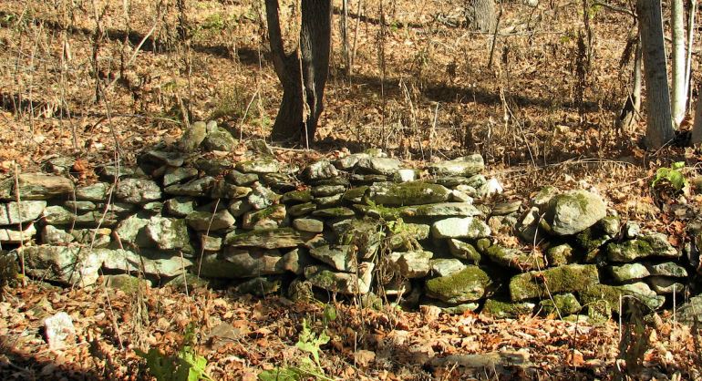 The Track Rock Gap Terrace Complex . . . Ten years later – The Americas ...