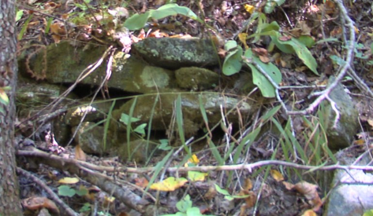 Residents near Track Rock Gap in Georgia Mountains form archaeological ...