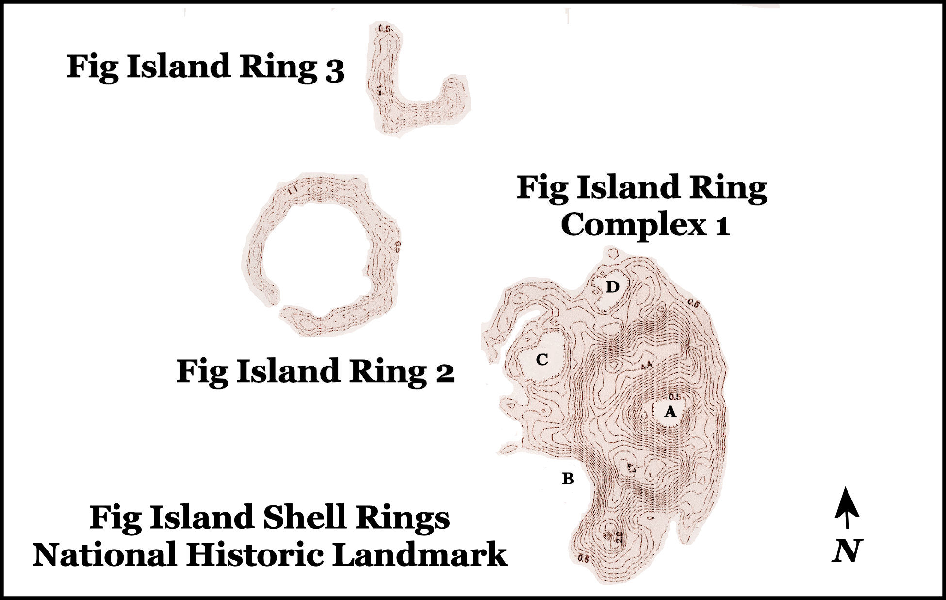 Fig Island Shell Ring Complex – The Americas Revealed