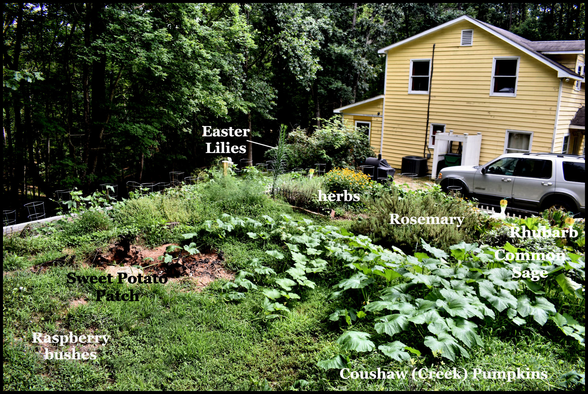 A modern Maya terrace garden on the crest of a Georgia mountain – The ...