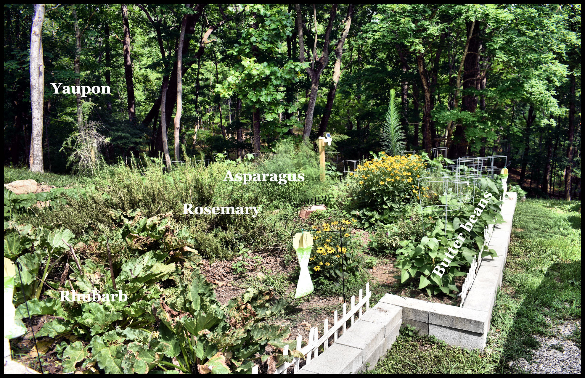 A modern Maya terrace garden on the crest of a Georgia mountain – The ...