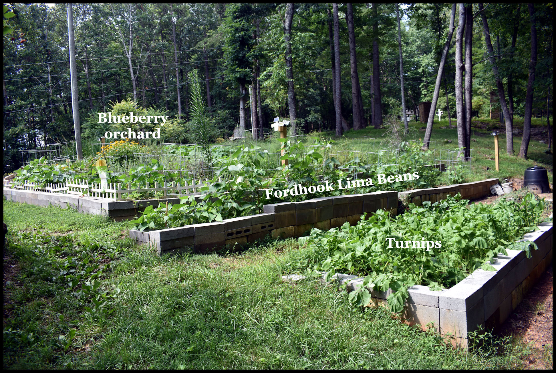 A modern Maya terrace garden on the crest of a Georgia mountain – The ...