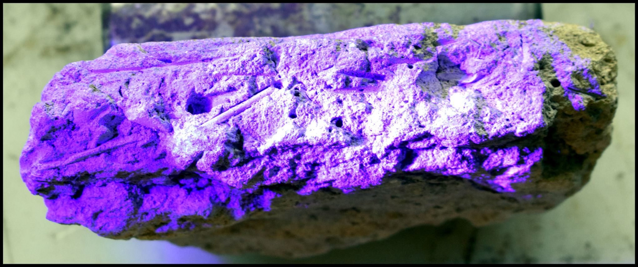 The Secret History of Tabby Architecture – The Americas Revealed