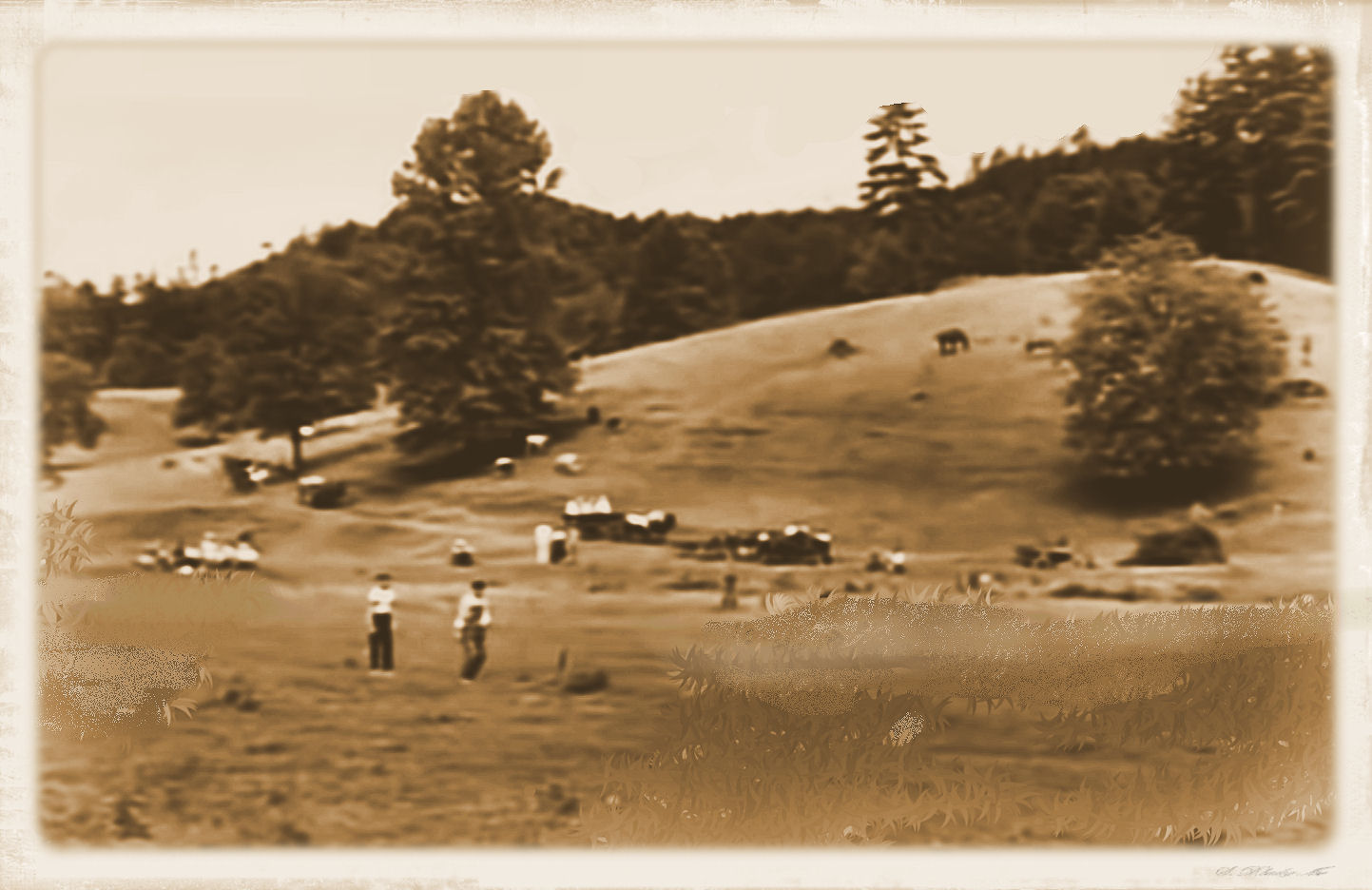 A Homeless Veterans campsite in the Chattahoochee National Forest – The ...