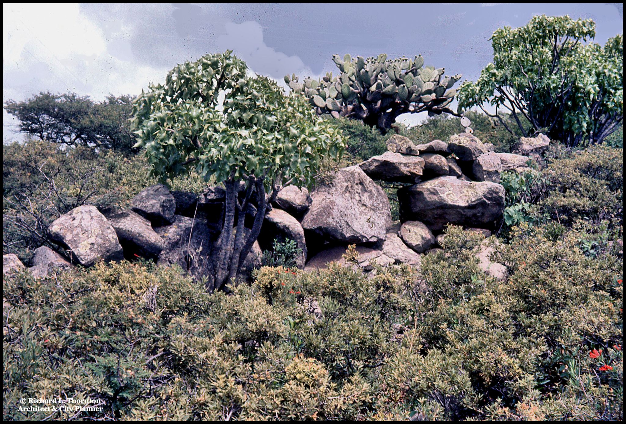 Ancient, massive stone fortress discovered in Northeast Georgia – The ...