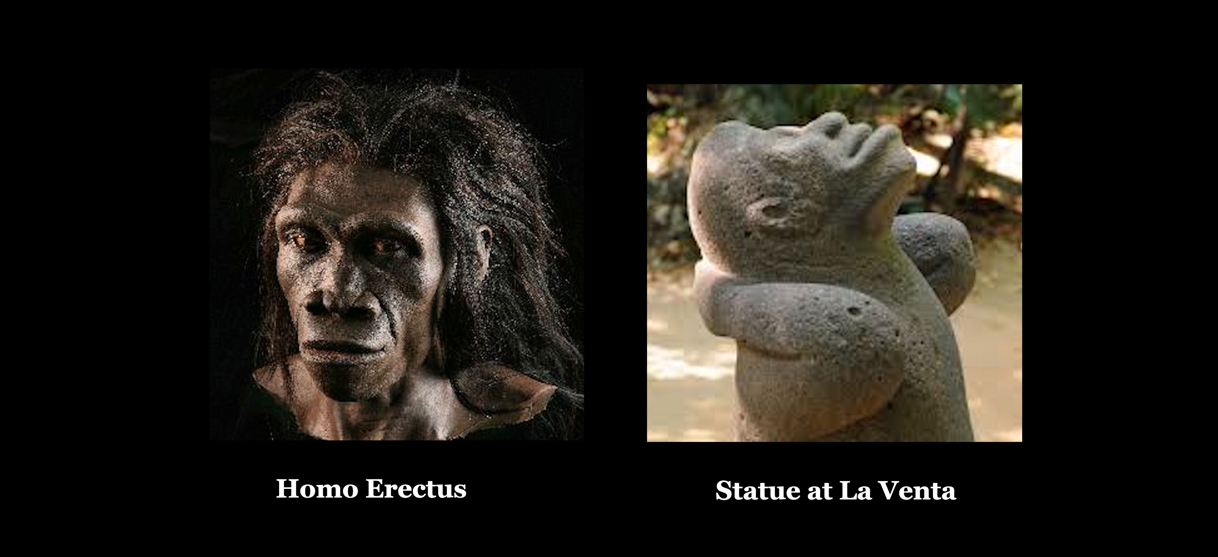 Did Homo Erectus live in the Americas until fairly recently? – The ...