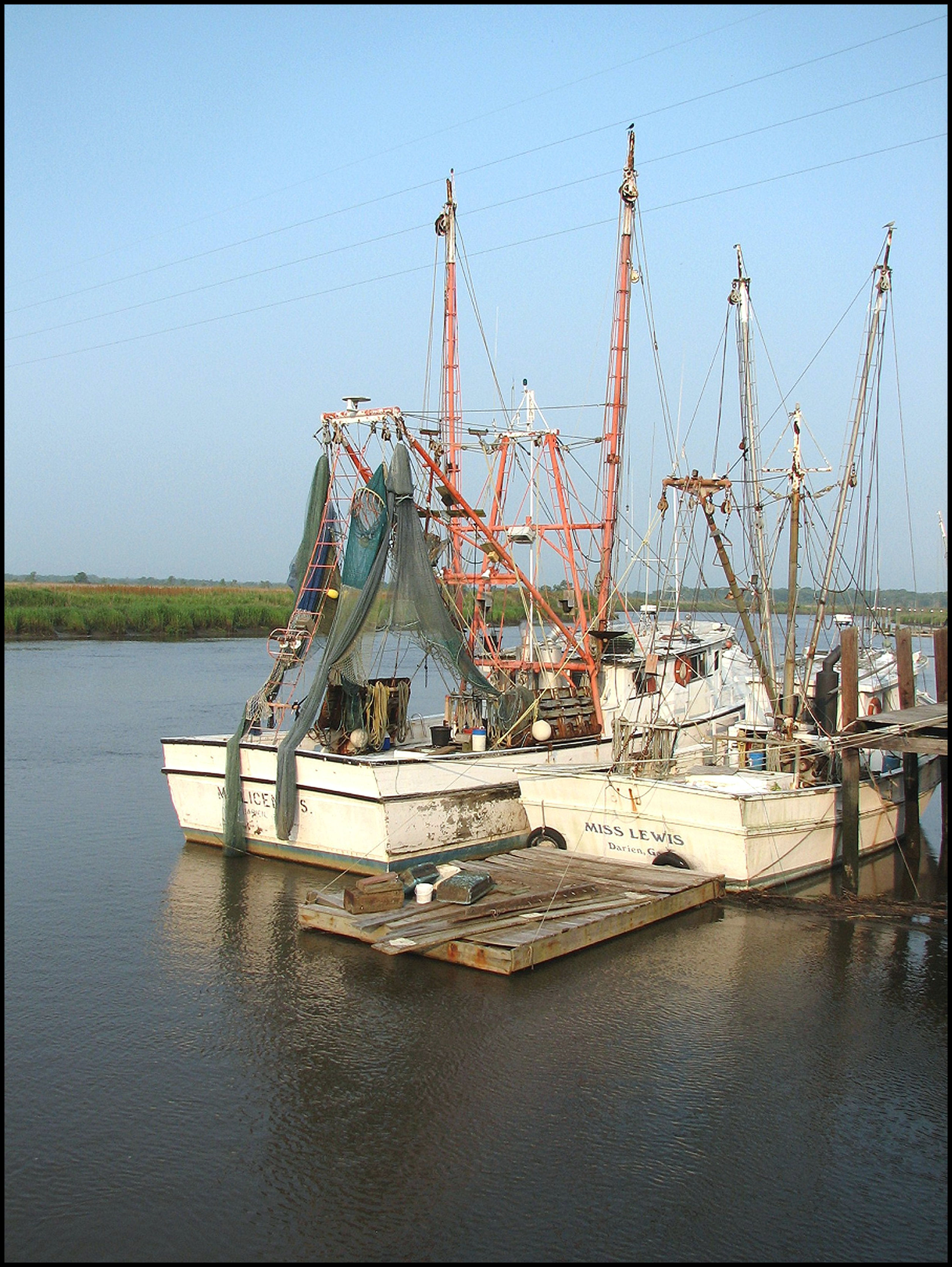 The voyage to Cumberland Island, Georgia – The Americas Revealed