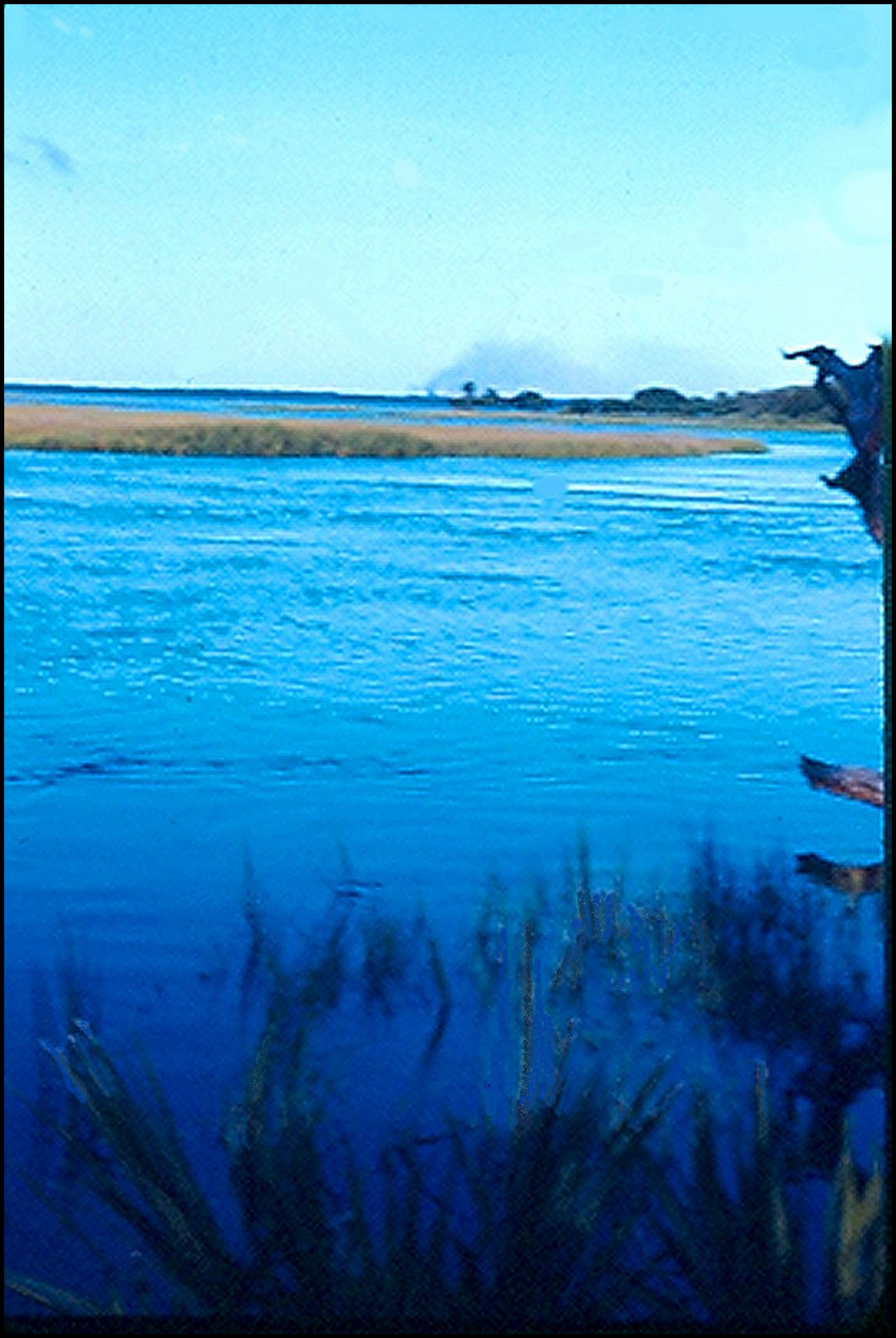 The South Atlantic Coast barrier islands have natural environments ...