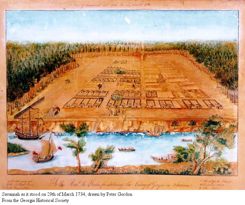 Video: The Secret of Savannah’s Colors – The Americas Revealed