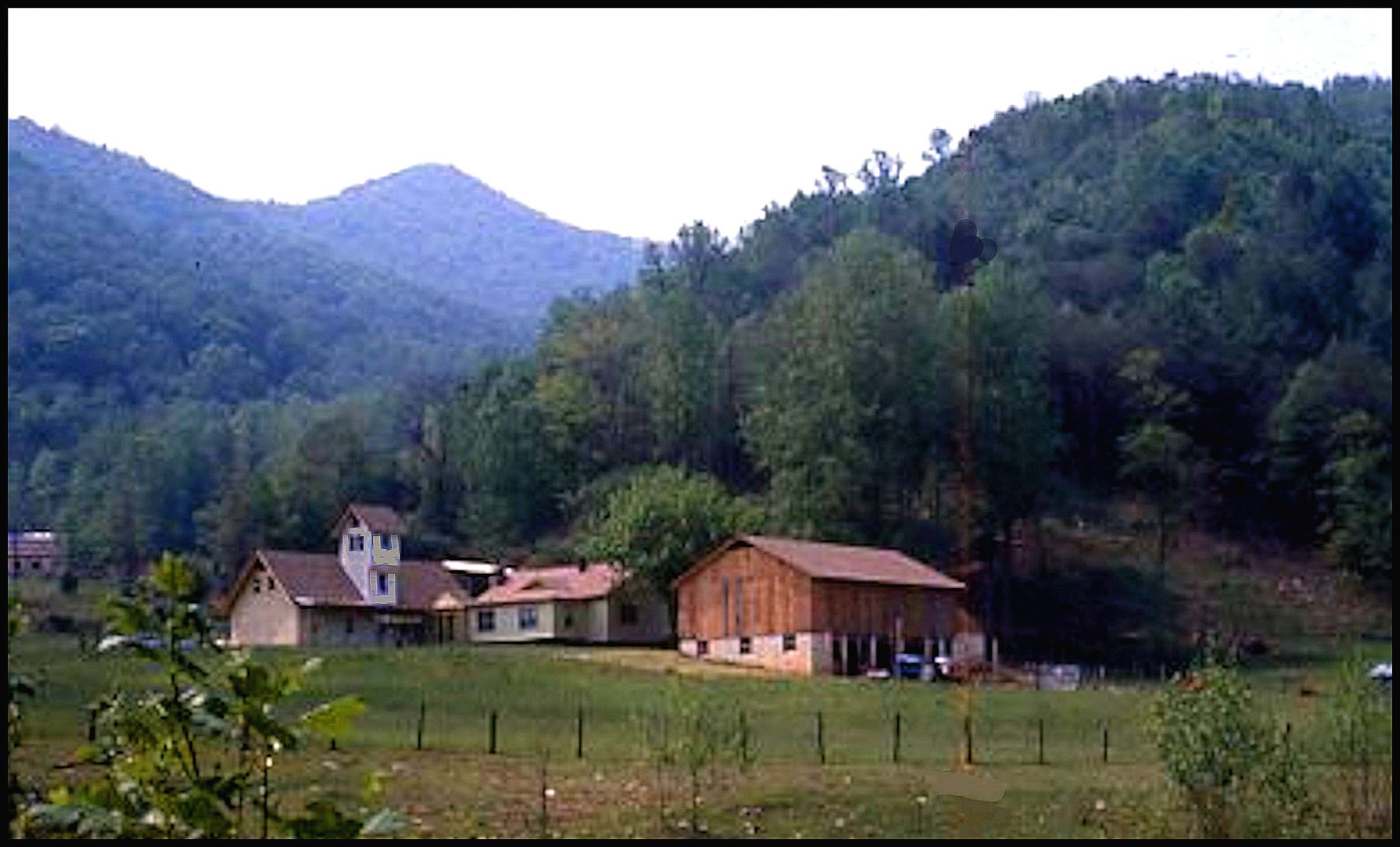 The Secret History of the Log Cabin – The Americas Revealed
