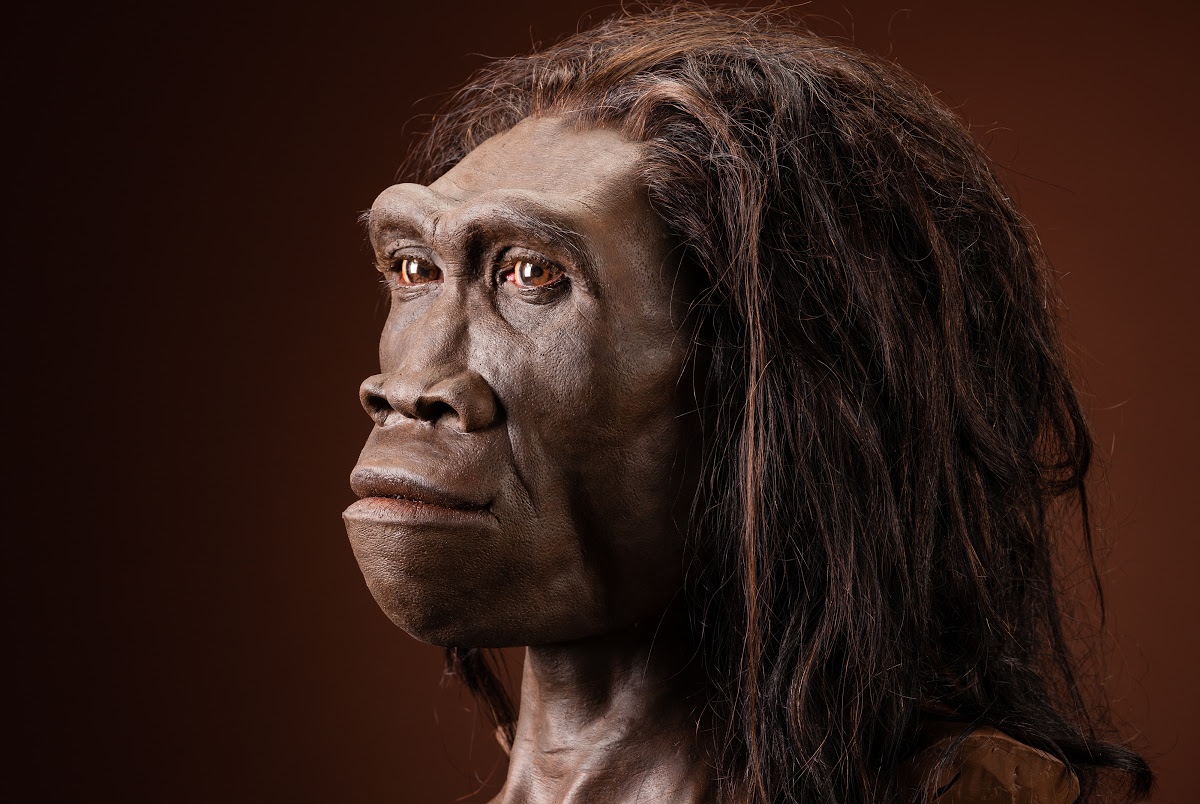 Open-minded archaeologist in South Africa proves that early hominids ...
