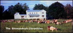 The Shenandoah Valley . . . an ancient fountainhead of Indigenous ...