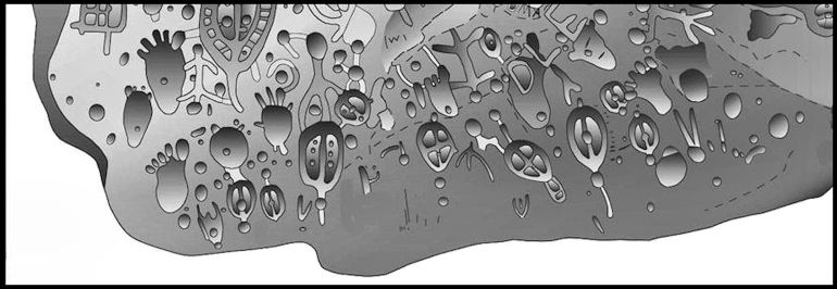 Slide Show: Drawings of Track Rock Gap Petroglyphs – Union County ...