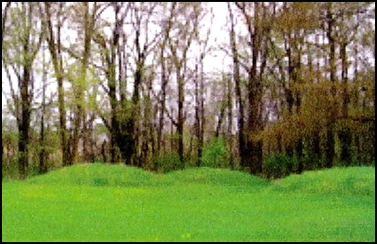 Adena Culture mounds and houses – The Americas Revealed