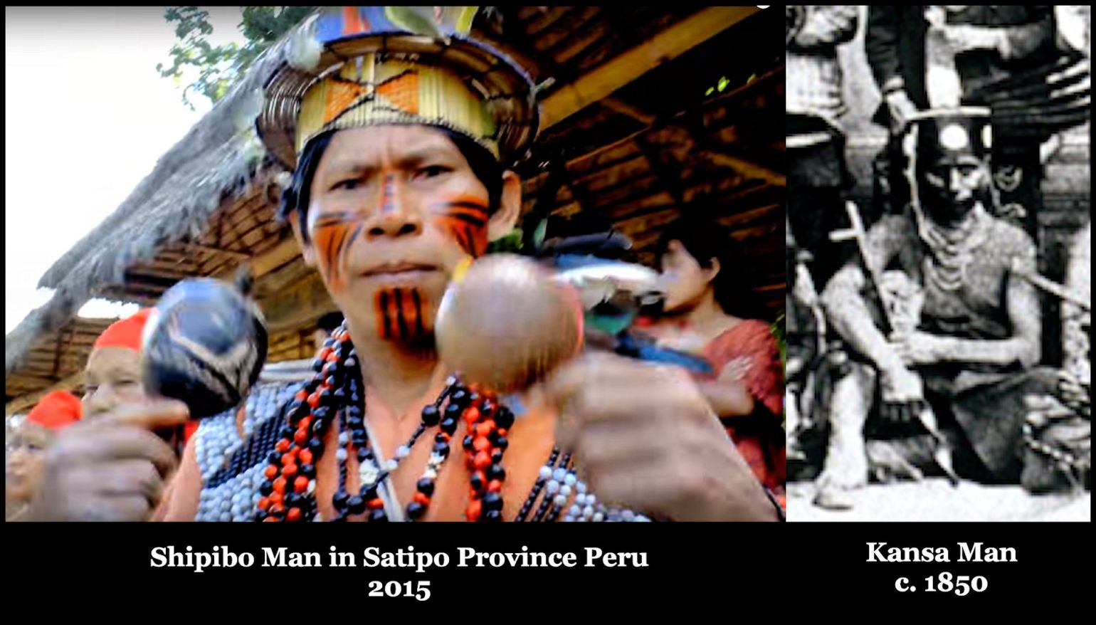 The Secret History of St. Catherines Island, Georgia – The Americas ...